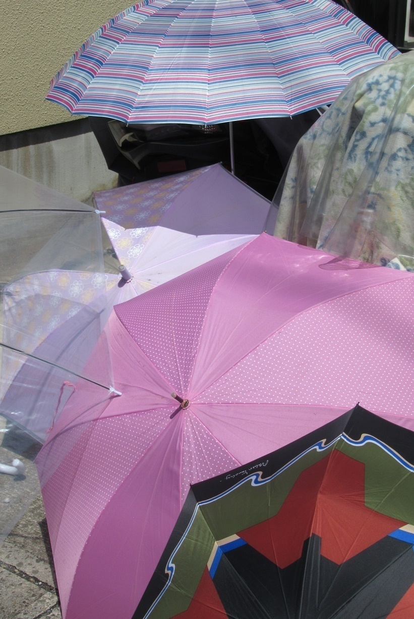 お家フォト、、初夏: SHINOKENの気まぐれダイアリー