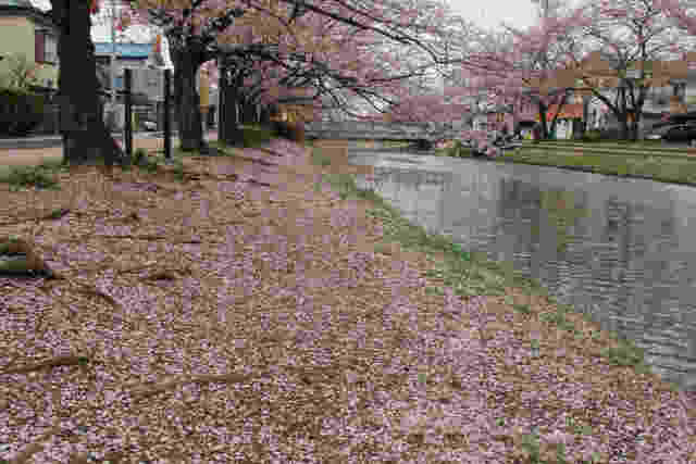 2013年、、心に残った情景: SHINOKENの気まぐれダイアリー