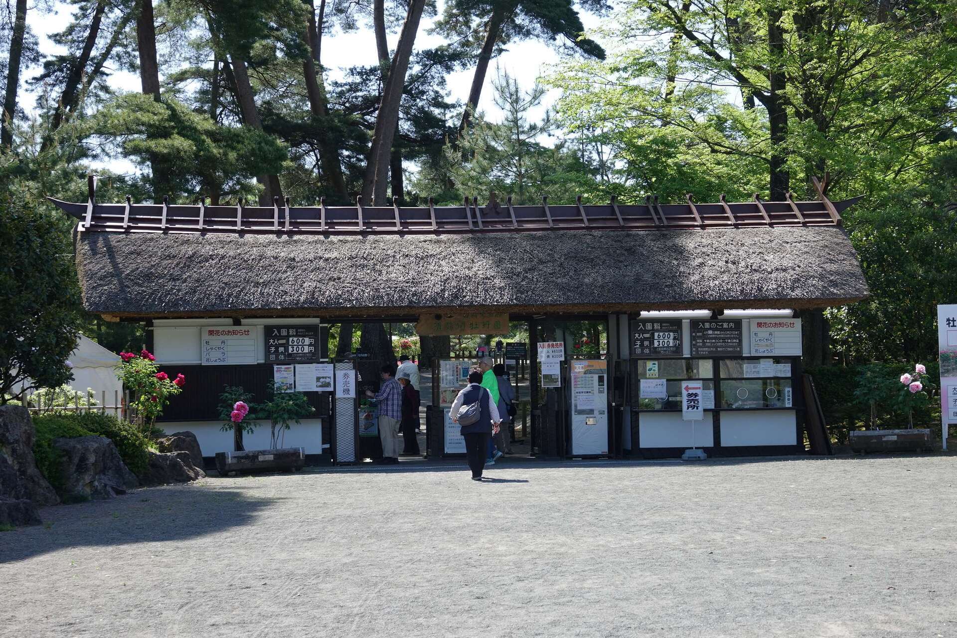 GW、一人温泉めぐりの写真旅、、花めぐり: SHINOKENの気まぐれダイアリー