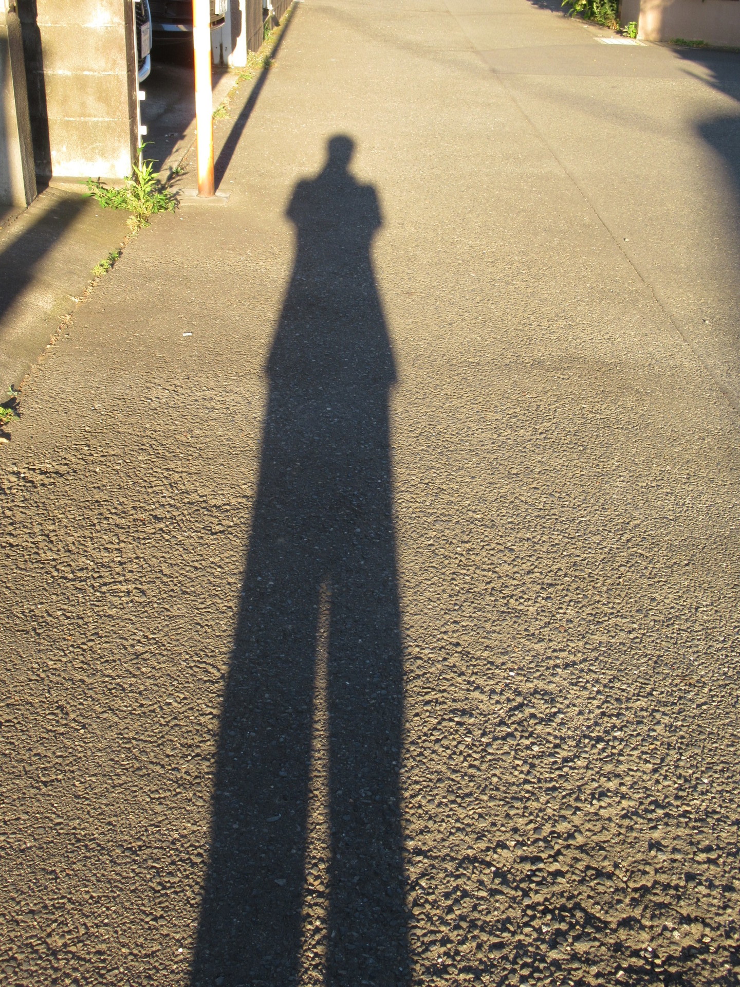 長～い影: SHINOKENの気まぐれダイアリー