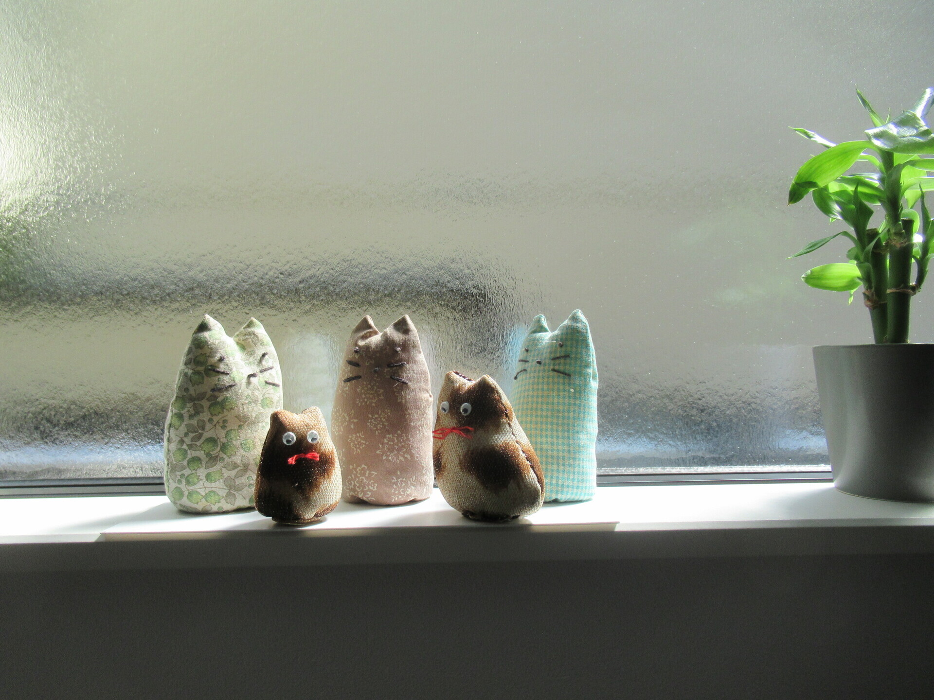 窓辺の猫さん: SHINOKENの気まぐれダイアリー