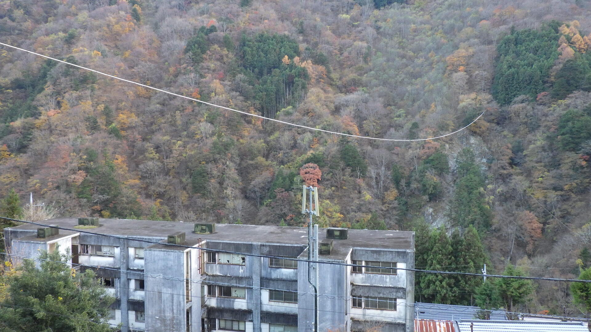 奥多摩、ペンション「ねねんぼう」: SHINOKENの気まぐれダイアリー